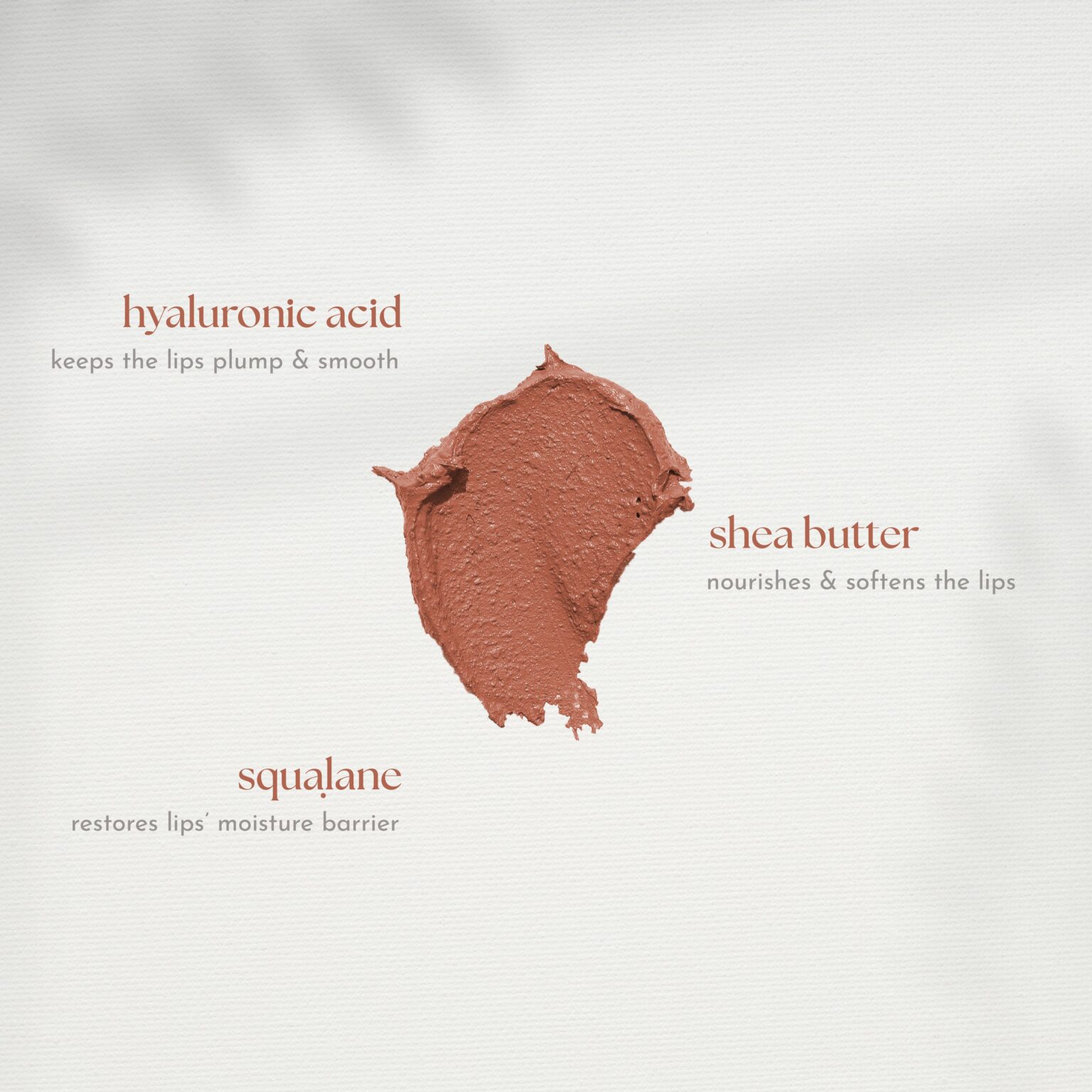 Dusk - Absidy Beauty